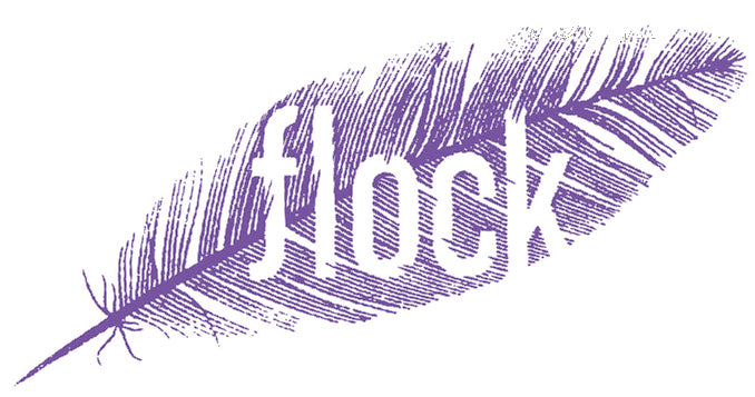 Aura Quartz Points – Flock